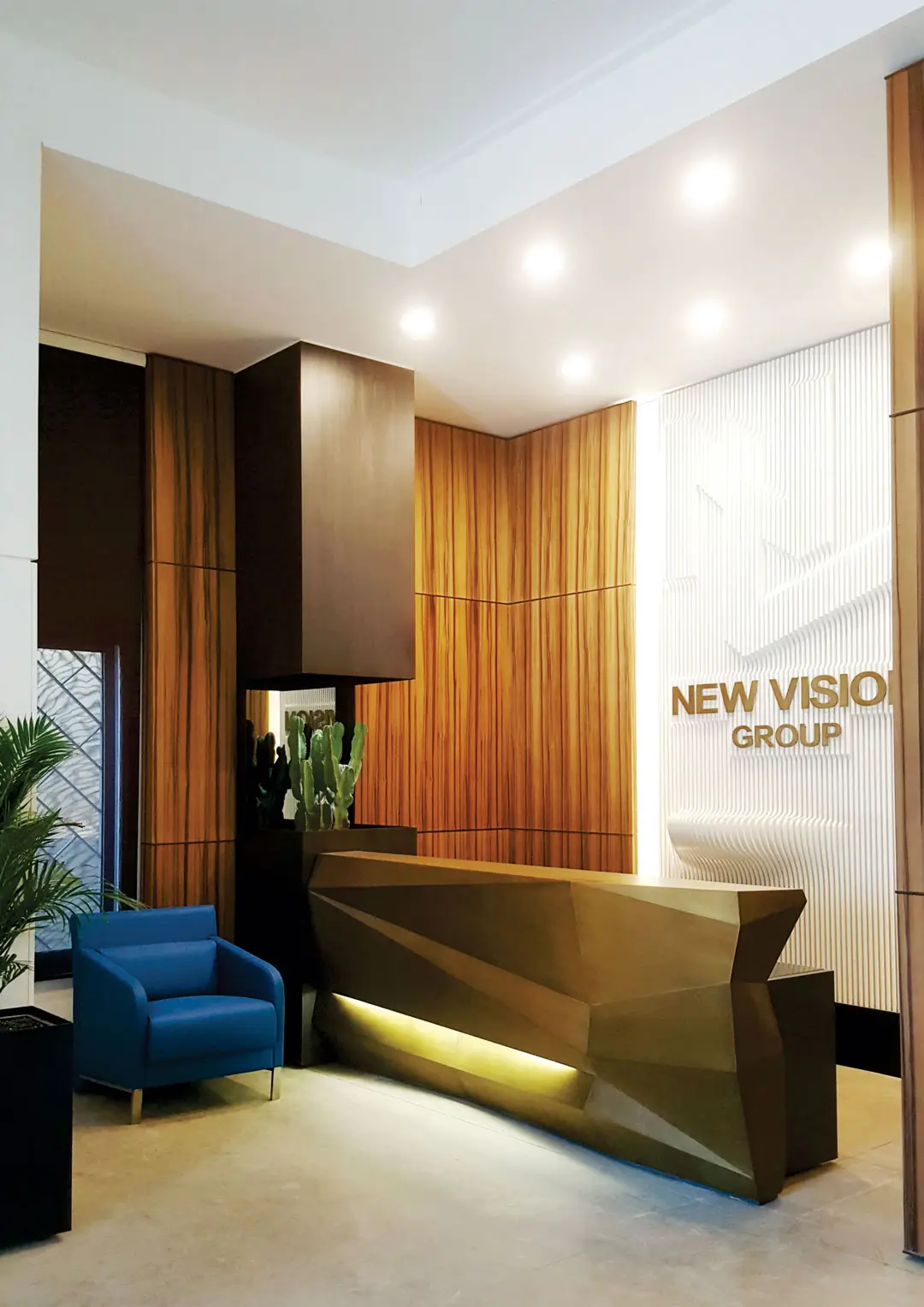 Projects - NewVision